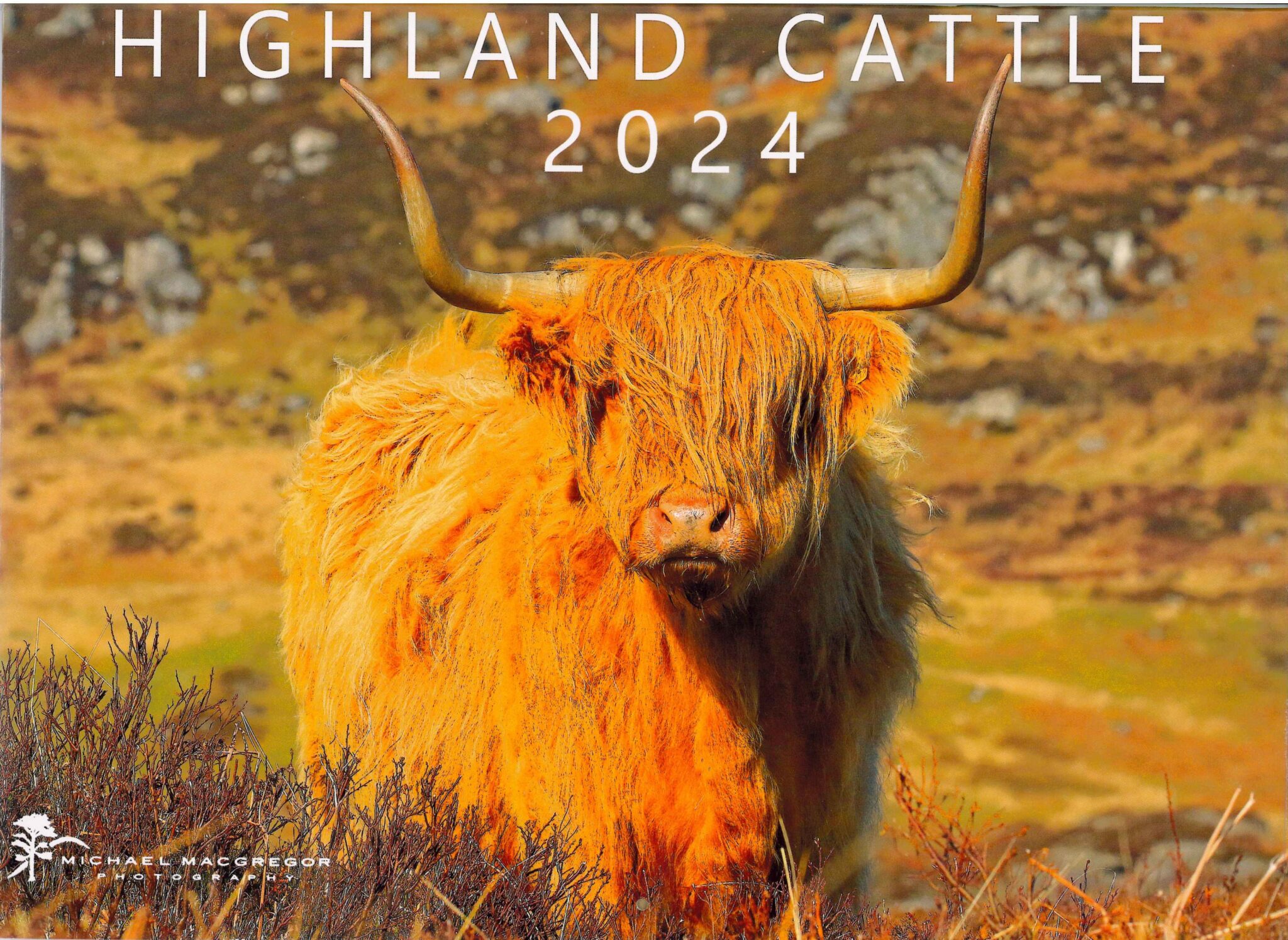 Gaelic Books Council - Supporting Scottish Gaelic writers and publishers